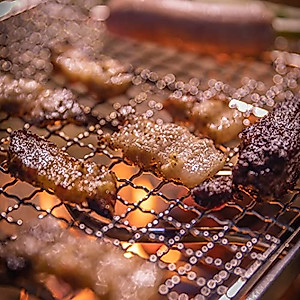 CAMPINGMOON Cooking Grid for Portable Campfire Grill Stainless Steel MS-1018-WG 11.8 x 9.5 Inches