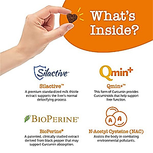 Zesty Paws Liver & Kidney Support Supplement for Dogs - with Milk Thistle Extract, Turmeric Curcumin, Cranberry & Choline - Natural & Grain Free Soft Chew Formula - for Dog Liver Function & Detox