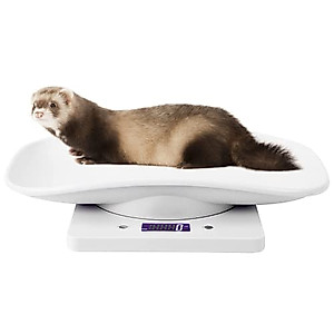 Small Animal Scale - LCD Electronic Scales with 3 Weighing Modes Multifunctional Digital Pet Scale for Ferret Hamster Hedgehog Lizard New Born Kitten Puppy (Max: 22lbs) (White)