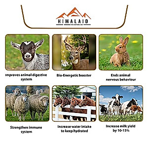 Himalaid Himalayan Salt Lick on Rope for Horses, Cattles, and Other Livestock, 2.5 LBS Each (9 Pack)