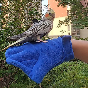 1 Pair Sugar Glider Bonding Mitt, Small Animal Anti-bite Gloves, Pet Anti-bite Protection Product, Pet Handling Gloves for Birds, Parrots, Guinea Pigs, Hedgehogs, Hamsters, Honey Glider (Blue)