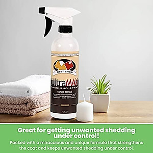 Best Shot UltraMAX Pro Finishing Spray, 17 oz