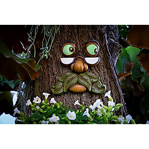 Tree Faces Decor Outdoor – Tree Hugger Yard Art Garden Decoration – Unique Garden Peeker for Outdoors and Indoors – Old Man Tree Art
