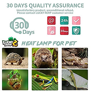 LUCKY HERP 4 Pack 50W UVA UVB Reptile Light Bulbs, Heat Lamp Bulbs for Reptiles and Amphibians, Basking Light Bulb for Turtle, Bearded Dragon, Lizard Heating Use