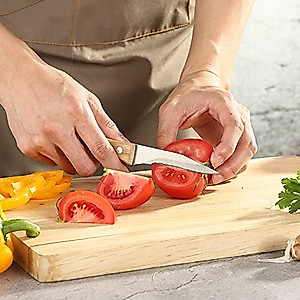KL KALOO 2PCS Kitchen Knives, 8 inch Chef's Knife and 3.5 inch Paring Knife, Professional Chef Knife with German Stainless Steel Blade and Wooden Handle