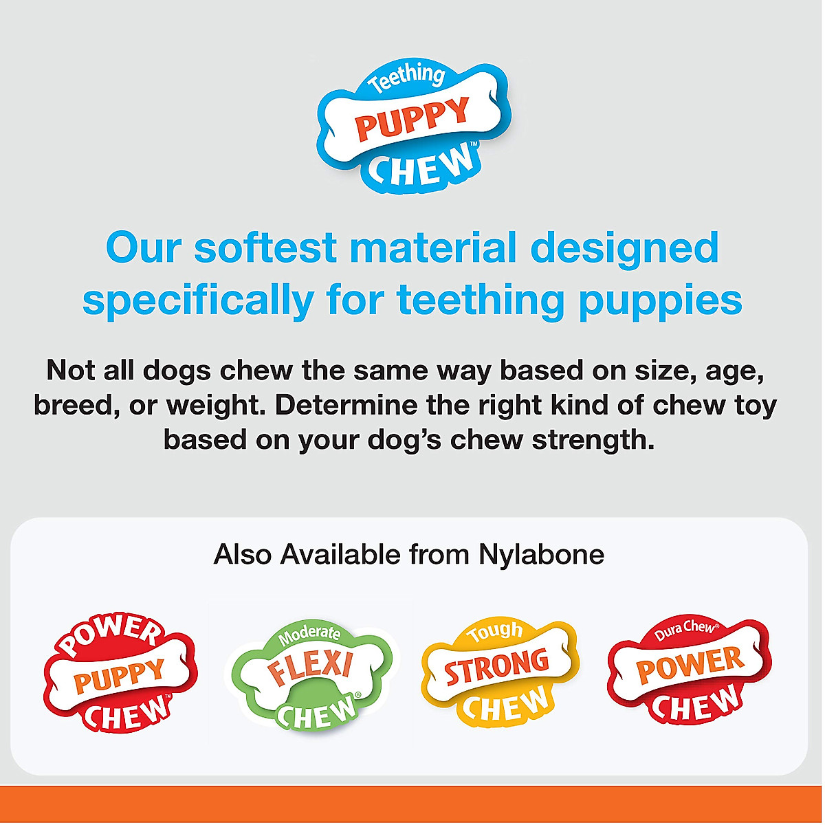 Nylabone Puppy Chew Keys Toy - Puppy Chew Toys for Teething - Puppy Supplies - Bacon Flavor, X-Small/Petite (1 Count)