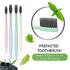 DR.PERFECT Prepasted Wheat Charcoal Toothbrush Individually Wrapped with Sealed Paper Bag Pack of 24 (24)