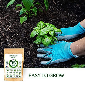 Herb Seeds 15 Variety Pack - Non GMO, Heirloom Seeds for Planting Indoor, Outdoor, and Hydroponic Medicinal Garden - Basil, Cilantro, Mint, Lavender, Rosemary, Dill, Parsley, Thyme, Sage, and More