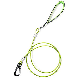 Mighty Paw Chew Proof Dog Leash - Six Foot Metal Cable Lead, Non Chewable Braided Cord with Padded Handle. Chew Resistant, Great for Large Dogs and Teething Puppies (Green)