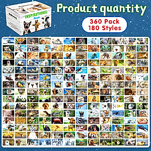 Fun Animal Motivational Quote Cards 360 Counts Encouragement Inspirational Kindness Appreciation Gratitude Business Cards Size Kindness Cards Gifts for Employees Students Teachers Kids…