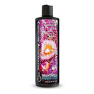 Brightwell Aquatics Coralline Accelerator - Multi-Nutrient Supplement for Coralline Algae Growth in Marine and Reef Aquariums, 250 ml
