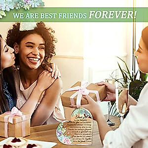 Friendship Gifts for Women Friend Birthday Gifts for Women Friends Thank You Gifts for Friends Acrylic Heart Decorative Signs Plaques for Sister Sunflower Succulent Gift Christmas Decor (Fun)