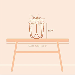 Bloem Tuxton Modern Hexagon Small Planter: 10" - Black - Matte Finish, Durable Resin, Modern Design, Optional Drainage Holes, for Indoor and Outdoor Use, Gardening, 2.7 Gallon Capacity