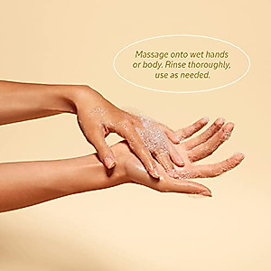 Shea Hands & Body Verbena Liquid Soap 16.9 Oz: Cleanse, Refreshing Lemony Scent, Infused With Shea Extract to Soften, Artisinal Soap