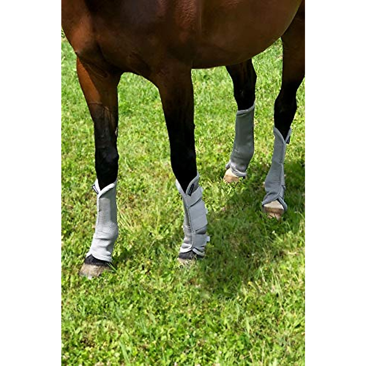 Harrison Howard Horse Fly Boots Horse Leg Guards Set of 4 -Silver (Full)