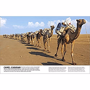 Cars, Trains, Ships, and Planes: A Visual Encyclopedia of Every Vehicle (DK Our World in Pictures)