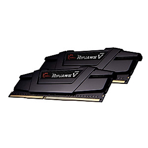 G.skill F4-4400C19D-32GVK Memory 2 x 16 GB