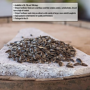 Desert Valley Premium Striped Sunflower Seed - Wild Bird - Wildlife Food, Cardinals, Squirrels, Jays & More (3-Pounds)