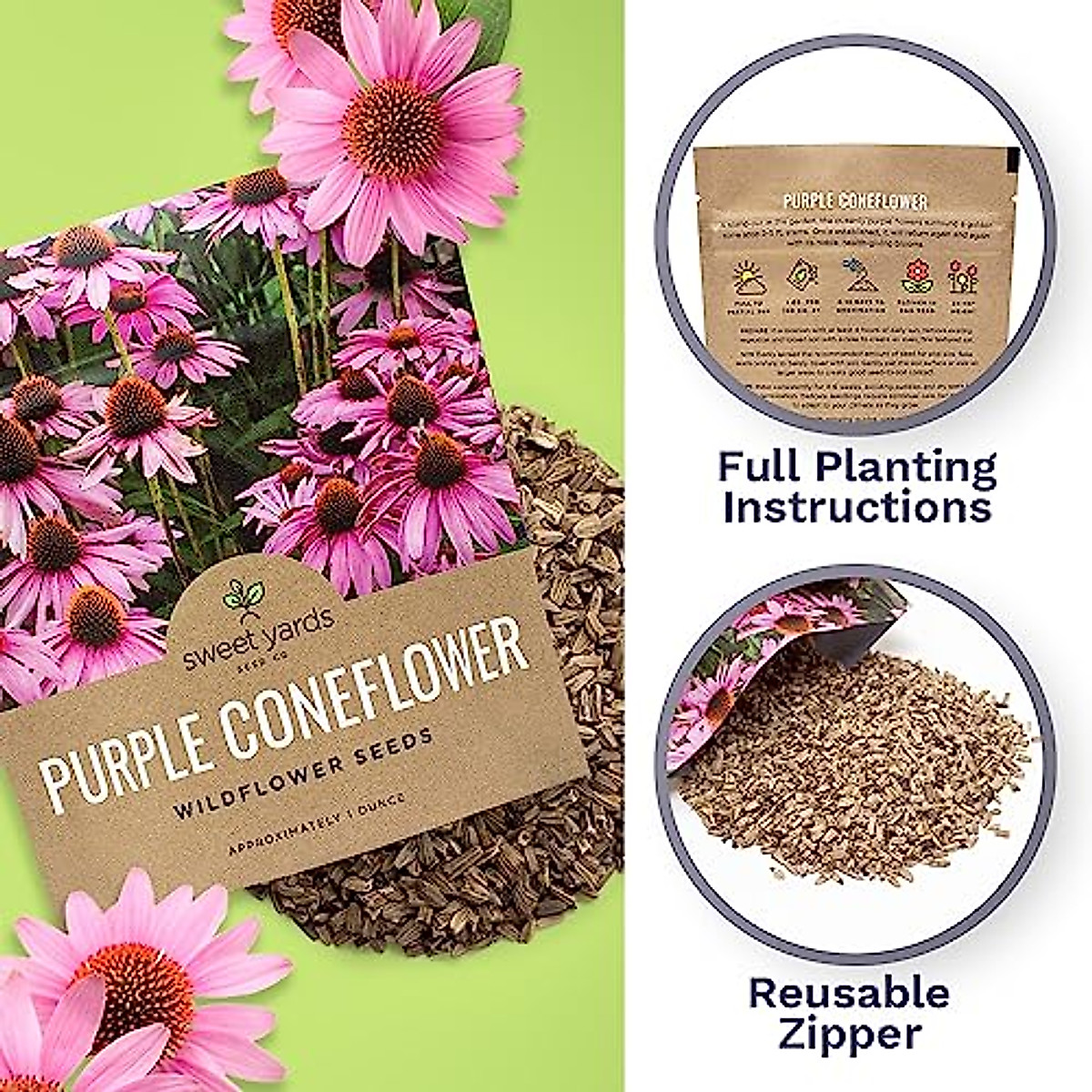 Purple Coneflower Seeds – Extra Large Packet – Over 3,000 Open ...
