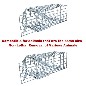 one Way Door Squirrel|Traps Alternative|one Way Door Squirrel|Squirrel Trap Live Trap Squirrel Traps