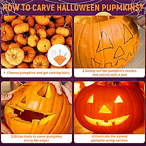 Pedenty 7 Pieces Halloween Pumpkin Carving Kit - Heavy Duty Stainless Steel Carving Tools Set Sculpting Scoop Knives for Halloween Decorations Jack-O-Lanterns