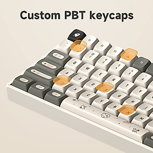 iQunix F97 Hitchhiker Gaming Keyboard, 96% Layout 100 Keys 2.4G & Bluetooth 5.1 Wireless Hot Swappable Mechanical Keyboard with Cherry MX Red Switch for Windows/Mac/Android/iOS