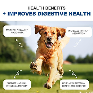 Chinichu Probiotics for Dogs - Digestive Enzymes for Gut Flora, Digestive Health, Diarrhea & Bowel Support - Dog Supplement Soft Chew for Pet Immune System - Clinically Studied DE111 - Duck Flavor