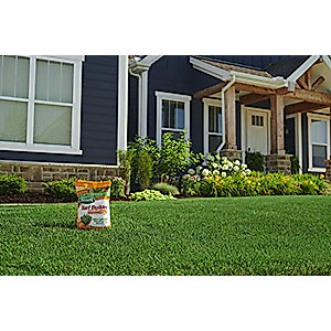 Scotts Turf Builder SummerGuard Lawn Food with Insect Control, 13.35 lbs.