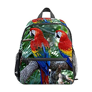 ZGONOHYE Girls Cute Mini Backpack Scarlet Macaw Bird Parrot Small Backpack School Bag Lightweight Preschool Backpacks Fashion Backpack Purse for Women Travel Bag Daypack for Girls Boys