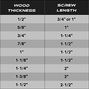 Massca Pocket-Hole Screw Kit – 1,000 Self-Tapping Zinc Plated Screw Set with No. 2 Square Driver Bit – 1”, 1-1/4” Fine-Thread & 1”, 1-1/4”, 1-1/2”, 2”, 2-1/2” Coarse-Thread Washer Head Wood Screws.