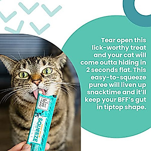 I AND LOVE AND YOU Treat Meow Lickable Cat Treats - Chicken Puree - Digestion Support, Squeeze Treat, 0.5oz, 4ct