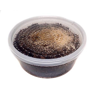 Josh's Frogs Temperate Springtail (Collembola) 8 oz Culture