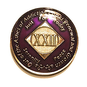 Recovery Line 22 Year NA Deep Purple & Gold Tri Plate Medallion -Chip, Coin, Token