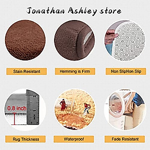 Bathroom mats 5 ' x 8 ' Area Rugs Machine Washable Area Rugs Runner for Hallways No Crease Rubber Backing - Non Skid - Bedroom Kitchen Living & Laundry Room Carpet