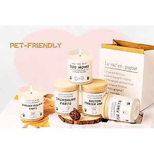 Dachshund Gifts, Dachshund Gifts for Women Men, Dachshund Decor, Dachshund Dog Candle, Weiner Dog Gifts, Wiener Dog Gifts, Weenie Dog Gifts Women Men