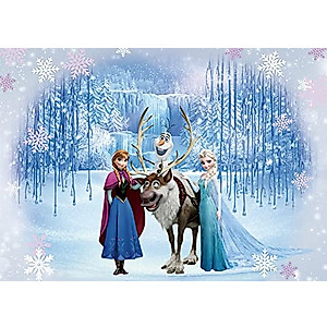 Frozen Ice World Princess Backdrop Winter Frozen Birthday Party Decoration Winter Children Photography Backdrop (8x6FT)