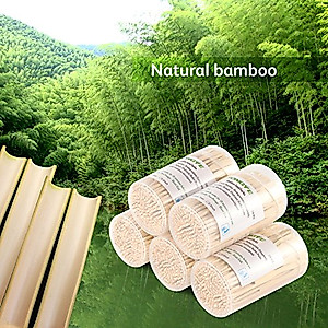 Mini Bamboo Forks 3.5 inch, Cocktail Forks Appetizer Forks, Small Forks for Appetizer, Disposable/Tiny/Food Picks for Party Fruit/Charcuterie Accessories, Wooden/Wood Toothpick Kids Safe. 110 PCS