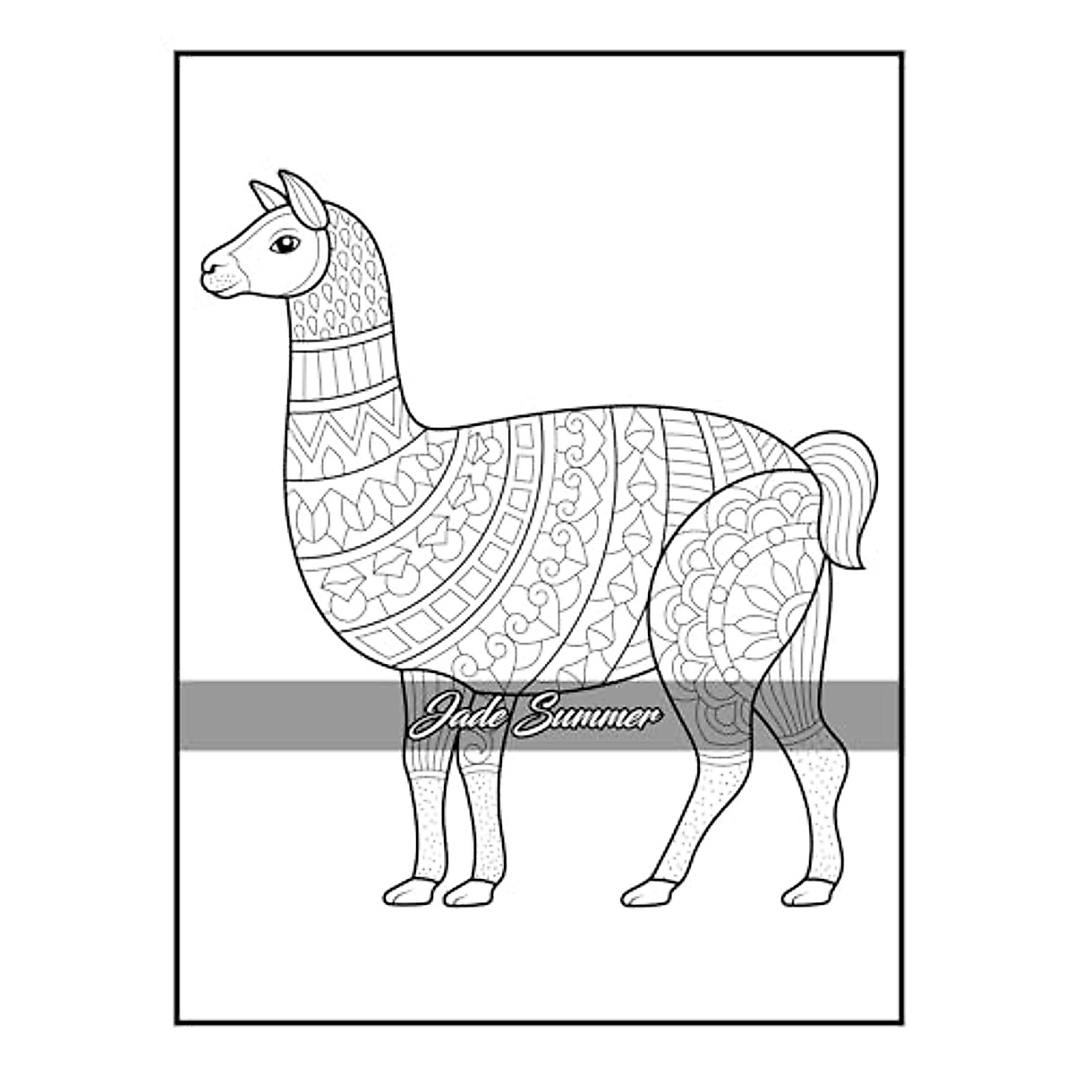100 Animals: An Adult Coloring Book with Lions, Elephants, Owls, Horses, Dogs, Cats, and Many More!