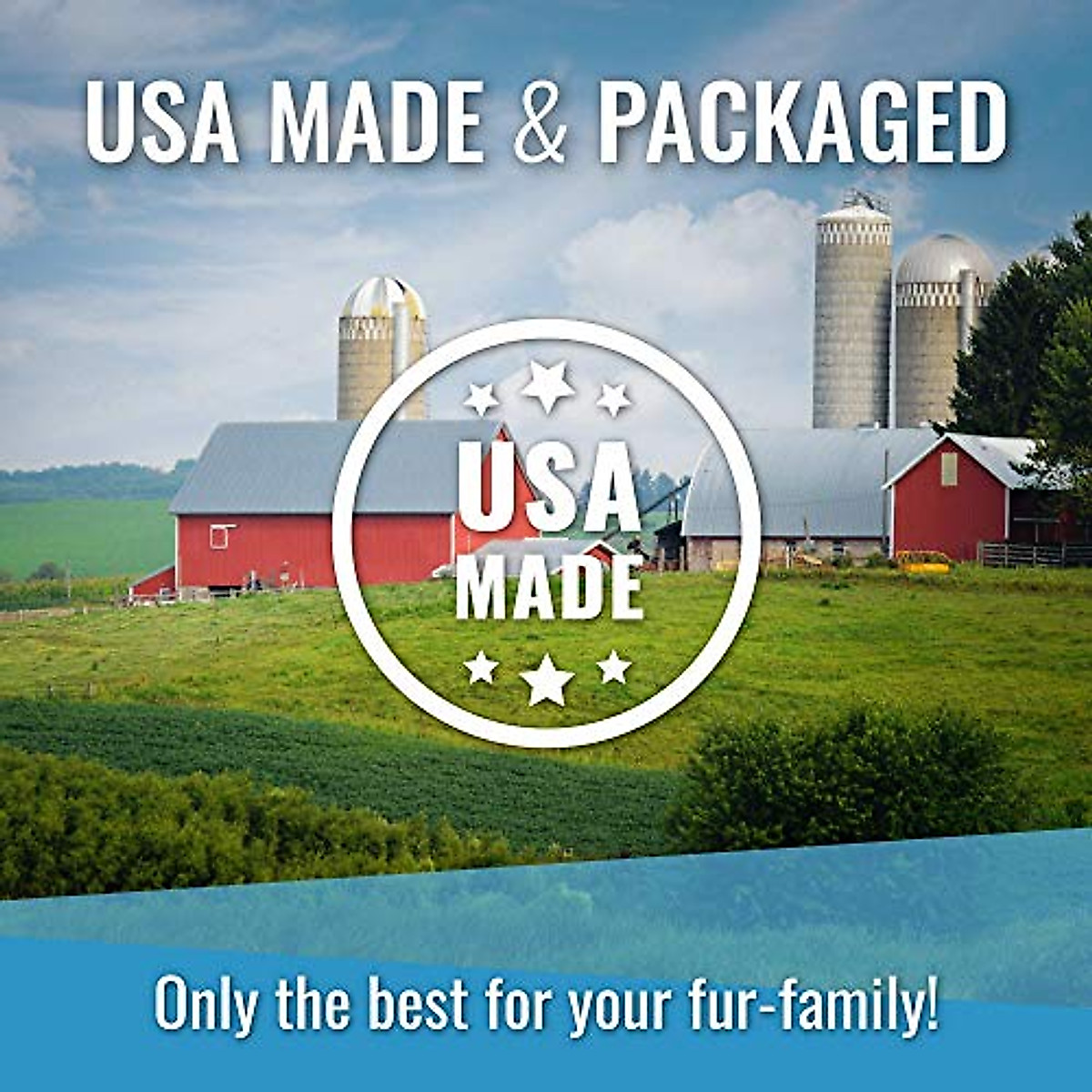 Vital Essentials Freeze Dried Dog Food, Beef Mini Nibs 16 oz