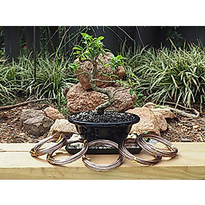 Anodized Aluminum Bonsai Training Wire 5-Size Starter Set with Canvas Bag - 1.0mm, 1.5mm, 2.0mm, 2.5mm, 3.0mm (147 feet total) - Choose Your Color (5 Sizes, Brown)