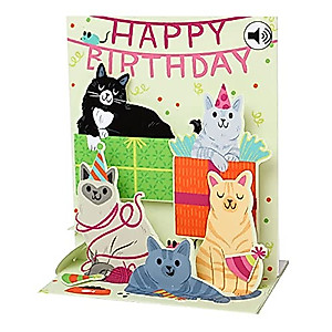 Up With Paper Pop-Up Sight 'N Sound Greeting Card - Feline Birthday, green, black, grey, orange, white