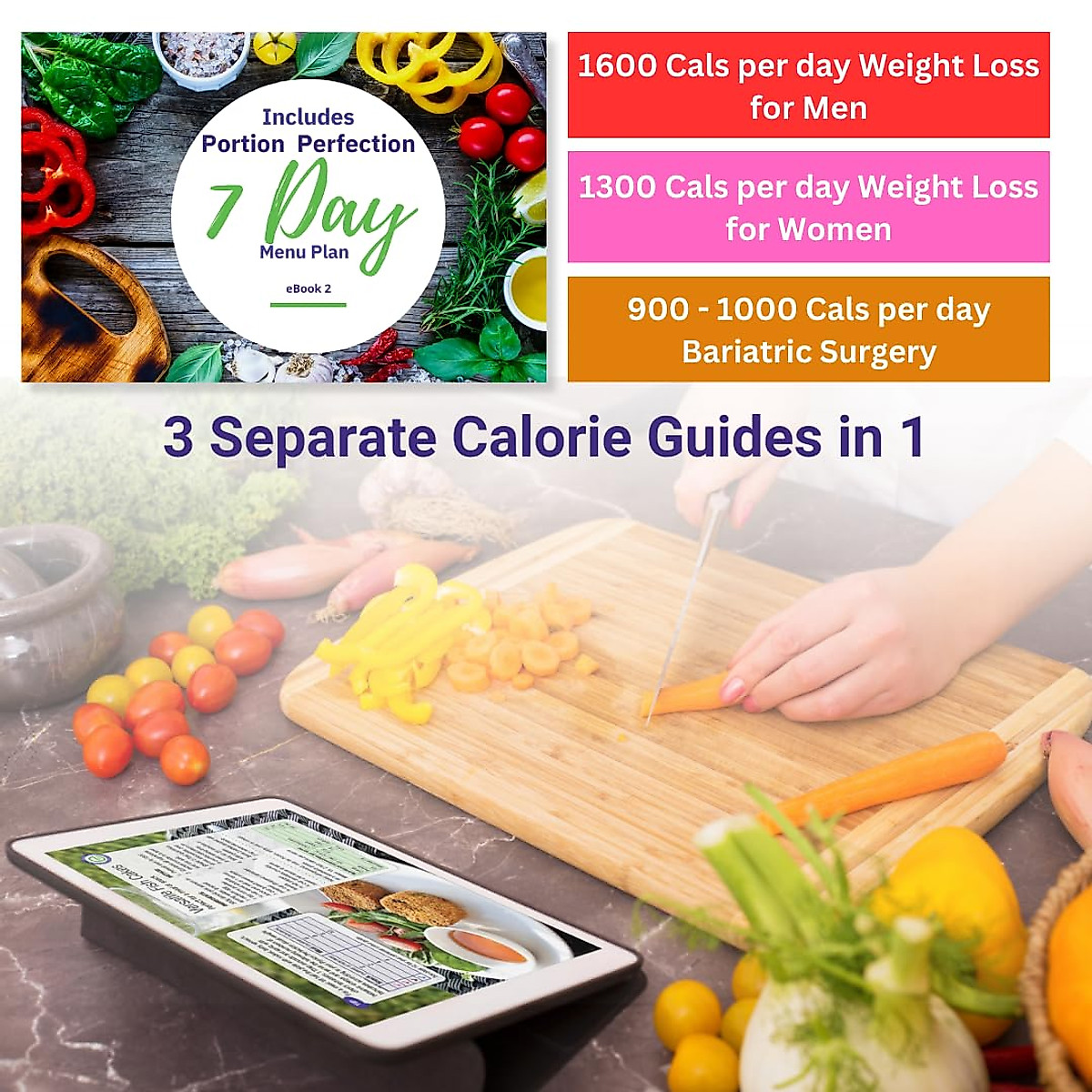 Portion Perfection PORCELAIN Weight Loss Plate for Women & Men | 2 Weightloss Serving Sizes on all 10 inch Adult Portion Control Plates, Ideal Weight Loss Products For Diabetes & Healthier Diets |