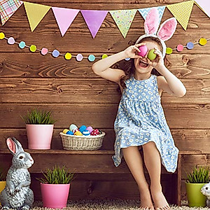 Wool Felt Ball Garland Colourful Felt Ball Pom Pom Garlands 9.84 Feet Long 70 Balls Felt Ball Garlands Hanging Garland Banner for Wall Party Home Decoration (Green, Pink, Yellow, Blue and Purple)