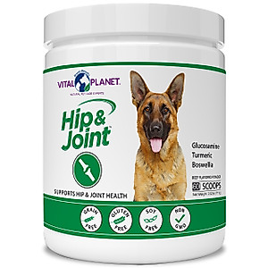 Vital Planet - Hip and Joint Support Powder Supplement for Dogs, with Glucosamine, Turmeric, Boswellia, MSM, and Collagen from Green-Lipped Mussel - Beef Flavored Powder, 60 Scoops, 111 Grams