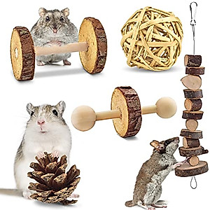 KATUMO Coconut Hut Hamster House Bed Natural Chew Toys for Mice Gerbils Small Animal Cage Habitat Decor