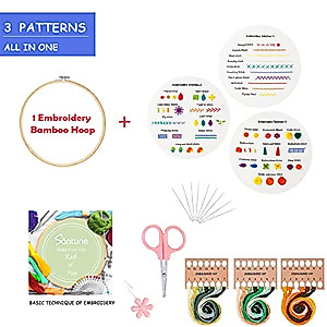 Santune Embroidery Kit - 3pcs Embroidery Patterns with Instructions for Beginners Cross Stitch Kits for Adults with 1 Embroidery Hoops, Color Threads and Needles, Good Hobbies for Women