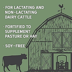 New Country Organics | Cattle Feed for Dairy Cattle | Soy-Free | 16% Protein | Certified Organic and Non-GMO | 40 lbs