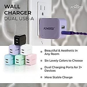 Liquipel Powertek Dual USB-A Wall Charger, Beveled Edges, Foldable, Compact, Pastel Colors (Purple)