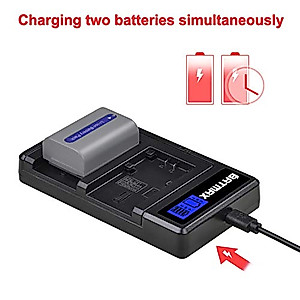 Batmax 2 Pack 1250mAh NP-FP50 Battery + USB LCD Dual Charger for Sony NP-FP30 NP-FP60 NP-FP70 NP-FP71 Battery and Sony DCR-DVD103 DVD105 DVD202E DVD203 DVD205 DVD305 DVD92