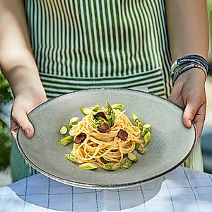 Mezchi 4 Pack Ceramic Dinner Plates, 10 Inch Ceramic Plates Set, Round Kitchen Plates for Restaurant, Party, Microwave, Oven and Dishwasher Safe